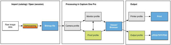 Capture One: An Overview of the Rendering Pipeline