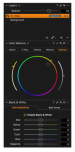 Converting to Greyscale with Black & White Tool in Capture One