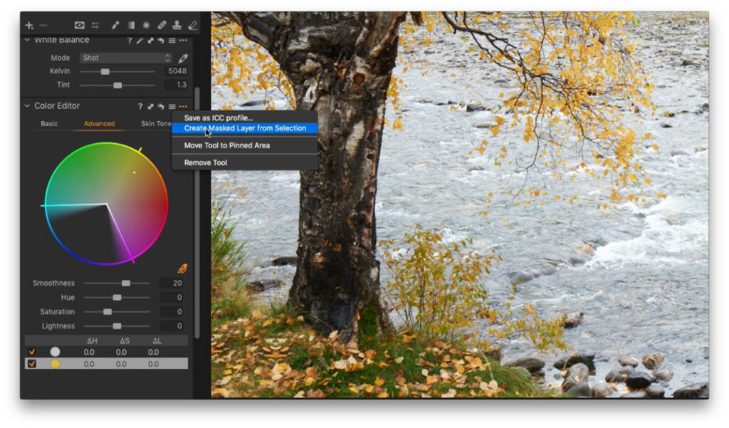 Capture One for Nikon Express and Pro Explained