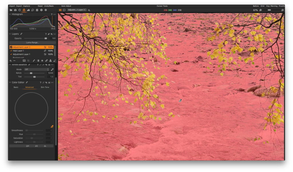 Capture One for Nikon Express and Pro Explained
