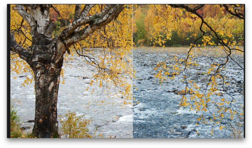 Capture One for Nikon Express and Pro Explained