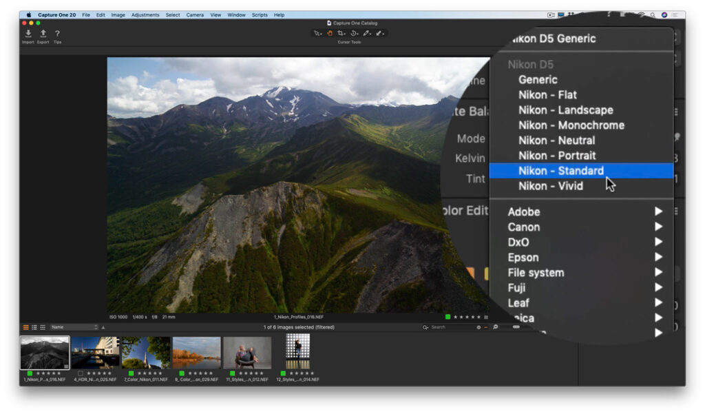 Capture One for Nikon Express and Pro Explained