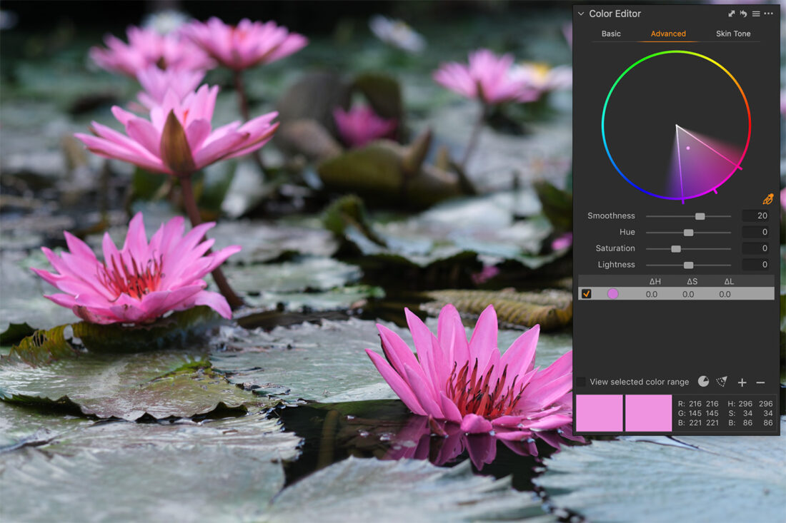 Working with Complementary Colors in Capture One