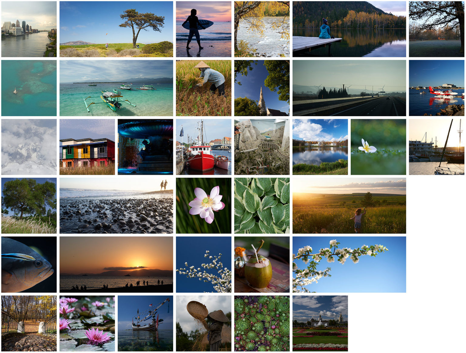100 RAW Files For Image Editing Practice