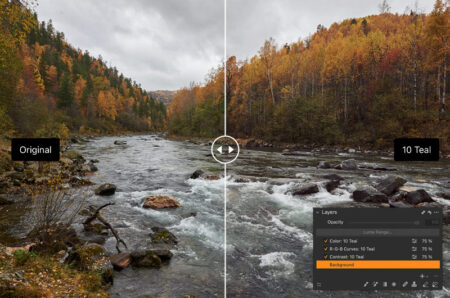 Сapture One Styles Free Download 65 Styles